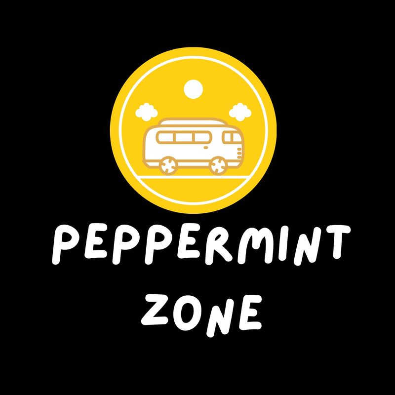 [peppermint zone] แบบเล่มค่ะ มันคลาสสิคมากๆที่สำคัญคือช่วยถนอมสายตาเรา ...