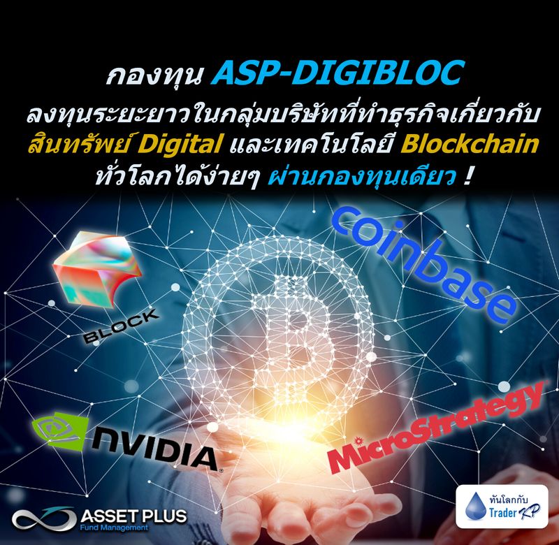 [Asset Plus Fund Management]