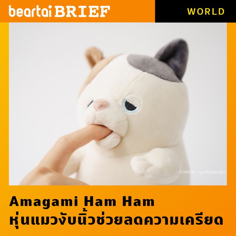 [beartai BRIEF] ⦿ Amagami Ham Ham หุ่นแมวงับนิ้วช่วยลดความเครียด • อะมา ...
