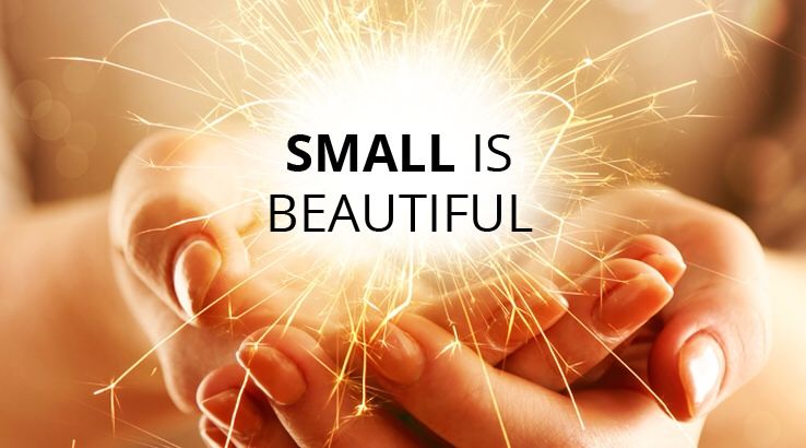 [BirdBrand] Small is Beautiful ผมเป็นคนเชื่อเสมอว่า "Small is Beautiful ...