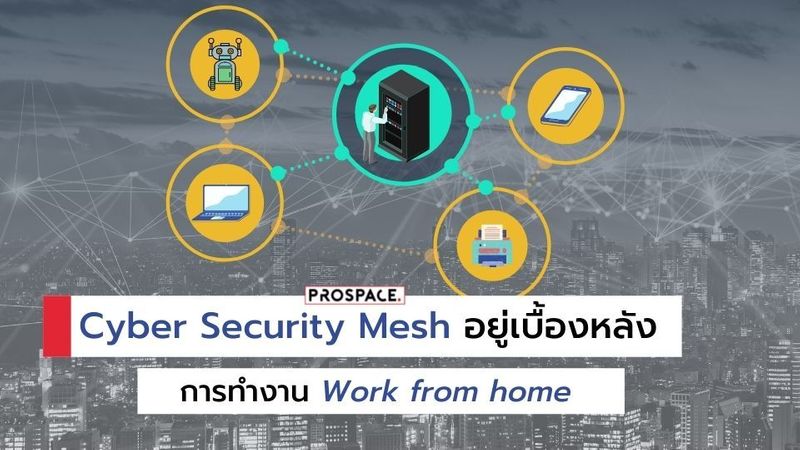 [Prospace เล่าเรื่อง Cybersecurity] ยุคปัจจุบันหลายๆบริษัทยังคงให้ทำงานแบบ Work From Home หรือ ...