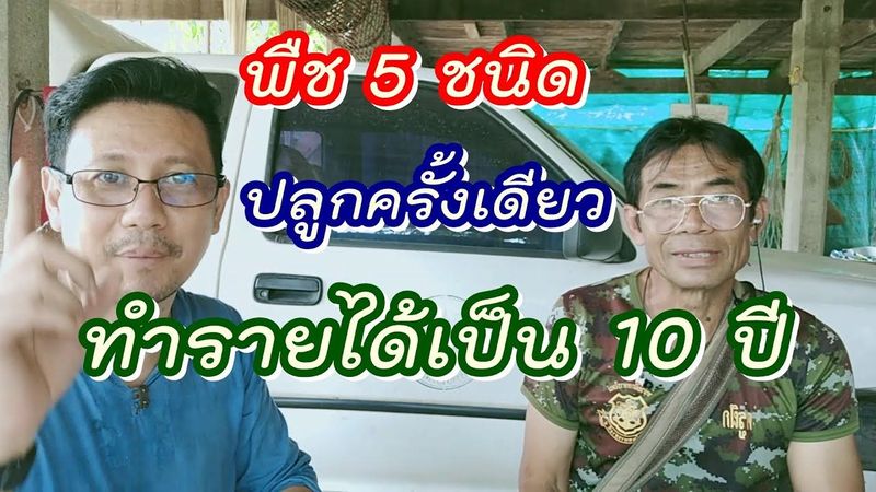 [Everythinghobby] ณรงค์ วิมา ปราชญ์เกษตร -หมอดินสิงห์บุรี แนะนำปลูกพืช 5 ชนิด ปลูกครั้งเดียวอยู่ ...