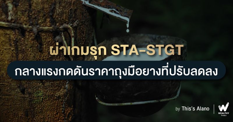 [Wealthy Thai] ผ่าเกมรุก STA-STGT กลางแรงกดดันราคาถุงมือยางที่ปรับลดลง 2 หุ้นแม่ลูกอย่าง STA และ ...