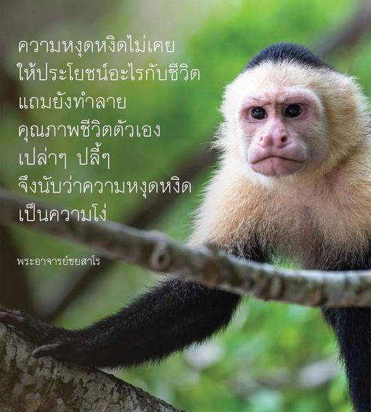 [เบื่อเมือง] ความหงุดหงิดไม่เคยให้ประโยชน์อะไรกับชีวิต แถมยังทำลาย ...