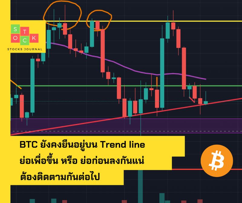 [สมุดบันทึกของนักลงทุน] บันทึก Daily : BTC 8/3/2565 BTC ย่อถึง ...