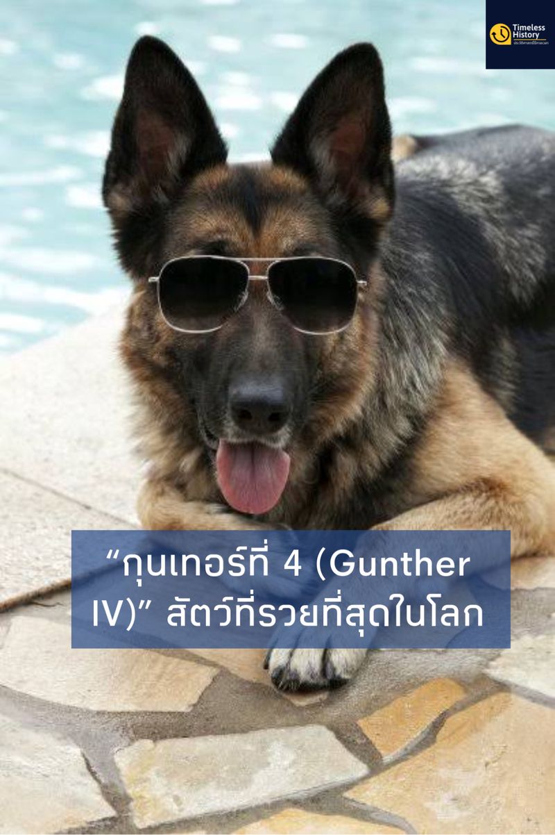[Timeless History (ประวัติศาสตร์ไร้กาลเวลา)] “กุนเทอร์ที่ 4 (Gunther IV ...