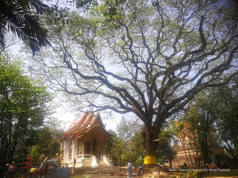 [SDG Wings Thailand ] เชียงใหม่เดินหน้า เทศกาลท่องเที่ยวเชิงนิเวศ ...