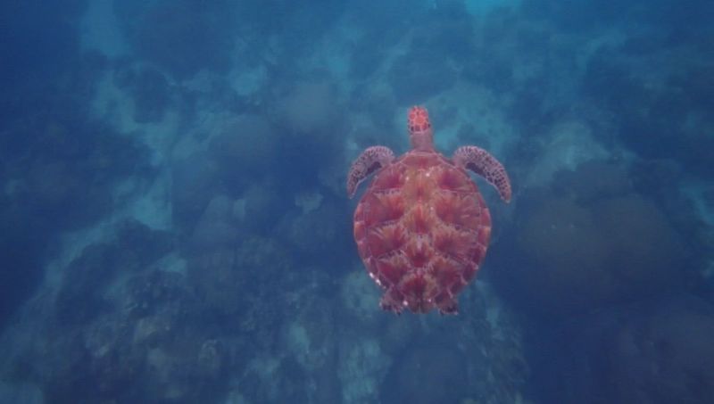[ยูอิจังเลขา🍄Mamonaku (กาลและเวลา) 🍂🍃🐞🐶] สมกับตำแหน่งงงง🤣🤣🥰🥰