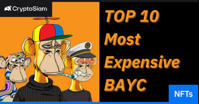 [CryptoSiam - ข่าว Crypto] โทเค็น NFT 10 อันดับจากคอลเลคชั่น Bored Ape Yacht Club ที่มีราคาสูงที่สุด
