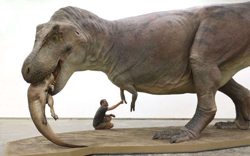 [Blockพูดได้byข้าวน้อยฯ] ทำไมไดโนเสาร์ทีเร็กส์(T - Rex) จึงมีแขนที่สั้ ...