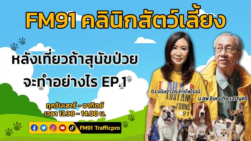 [FM91 Trafficpro] หลังเที่ยวถ้าสุนัขป่วย จะทำอย่างไร EP.1 : FM91 คลินิกสัตว์เลี้ยง สัมภาษณ์ นาย ...
