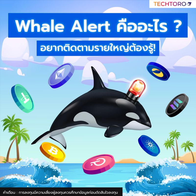 [TechToro] Whale Alert ในโลกคริปโตฯ คืออะไร? อยากติดตามรายใหญ่ต้องรู้ ...
