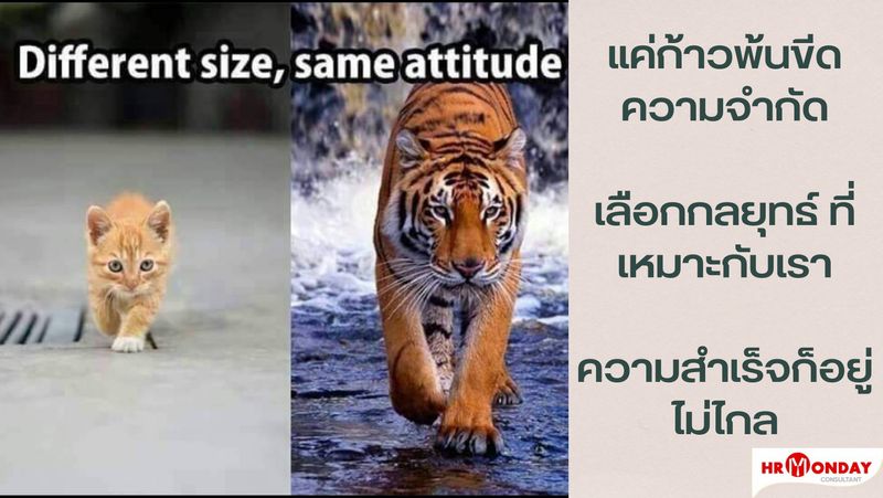[HR Monday by ดร.รุ่งโรจน์ อรรถานิทธิ์] Different size ,same attitude เทคนิคขจัดความกลัวในใจ ...