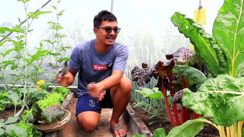 [Everythinghobby] ปลูกสลัด 3 สัปดาห์ ได้กินไว ลองเข้าไปดู ลิงค์นี้มีประโยชน์พอสมควรค่ะ Farming ...