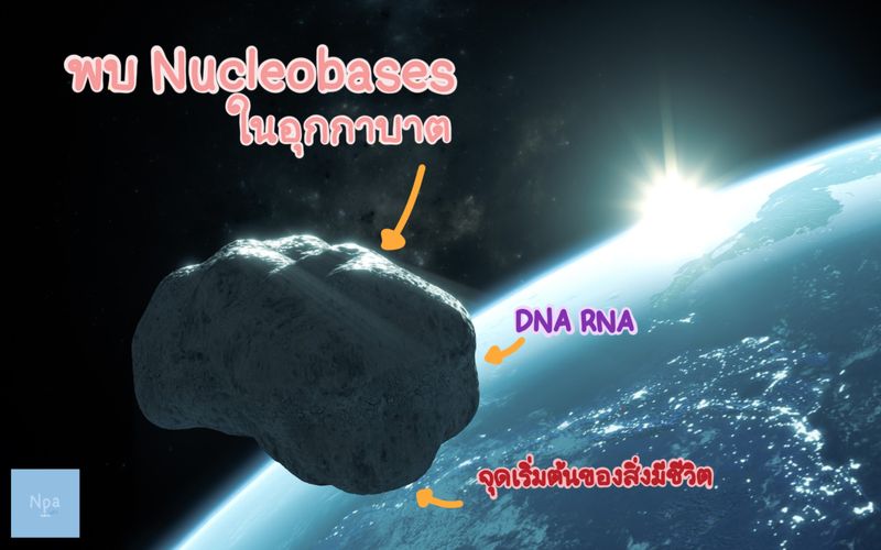[นภา] พบ Nucleobases จากอุกกาบาต หรือสิ่งมีชีวิตจะมาจากต่างดาว