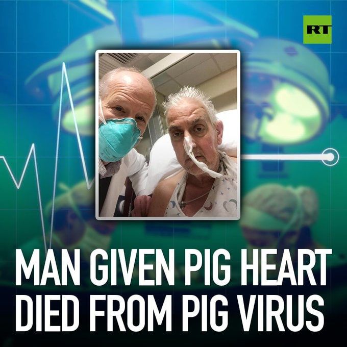 [Chokchai Ong] David Bennett จาก Maryland ได้รับการปลูกถ่ายหัวใจด้วย ...