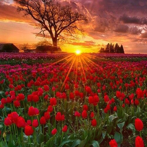 [เพจนี้... มีแต่เพลง] A TIME FOR US Ost. โรมิโอ จูเลียต เพลงเพราะจับใจ ...