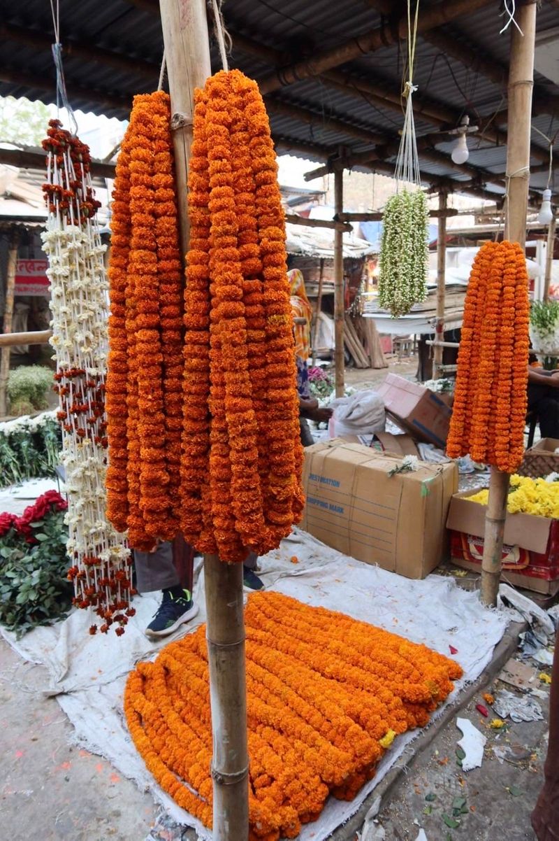 [กระทรวงการต่างประเทศ] ไทยพูดดี เบงกาลีพูดได้ ตอนที่ ๑๙ ร่างกายของเรา ...