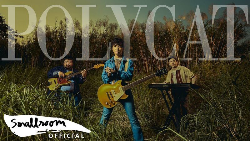 [SUNSHINE RADIO] 🎧 #แนะนำเพลง 🎧 🎼 ‘Polycat’ กลับมาตอกย้ำสถานะความ ...