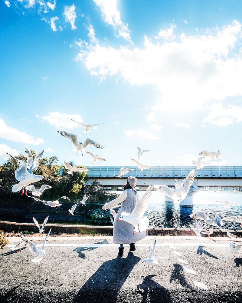 [Issa] Bird breathing Seagull dance .....🦋💙