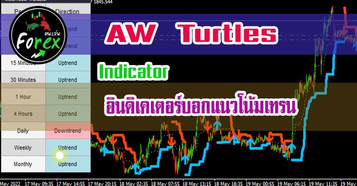 [TanOfficial] AW Turtles Indicator อินดิเคเตอร์บอกแนวโน้มเทรน AW ...