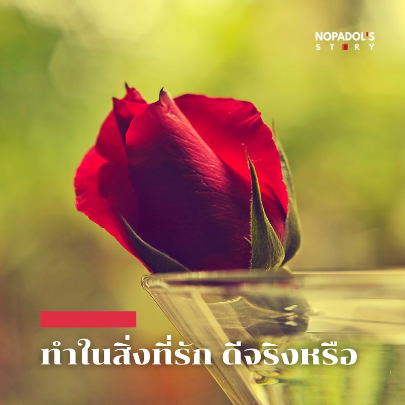[Nopadol's Story] ทำในสิ่งที่รัก ดีจริงหรือ ถ้าใครอ่านหนังสือแนวพัฒนา ...