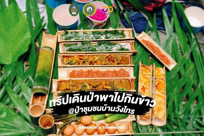 [Kwanruethai yuedman ] ชวนไปกินข้าวกลางป่า @ป่าชุมชนบ้านวังไทร กับ ...