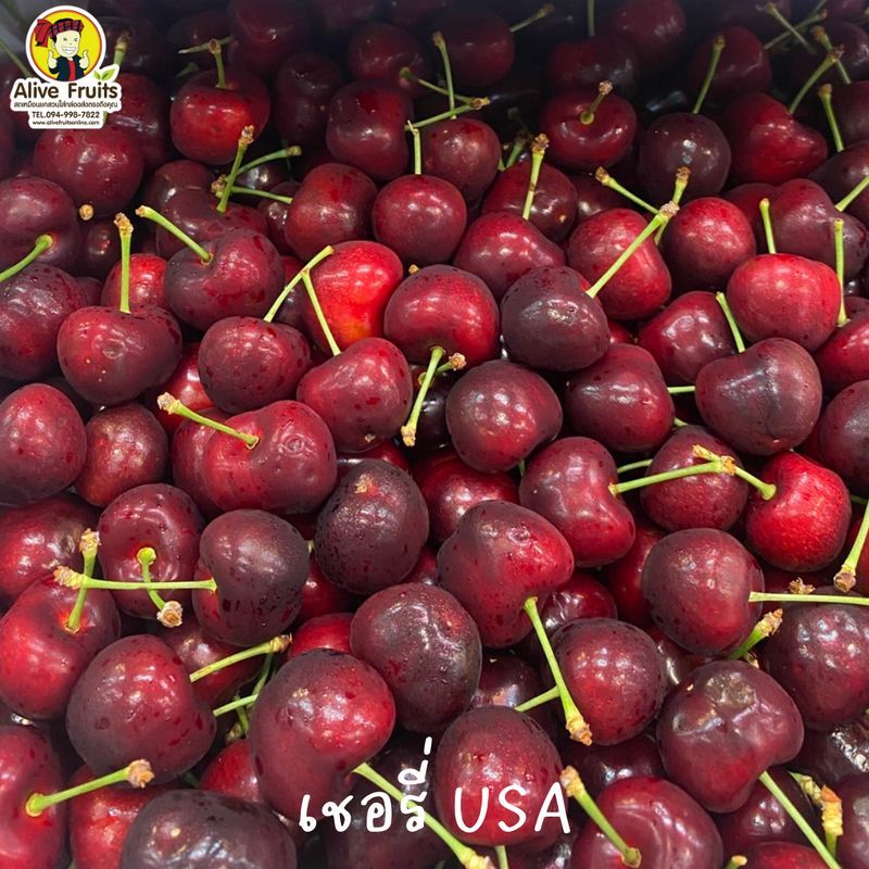 [Alive Fruits] 🍒สนใจผลไม้ตัวไหนสอบถามได้ครับ คัดเฉพาะเกรดพรีเมี่ยม สด ...