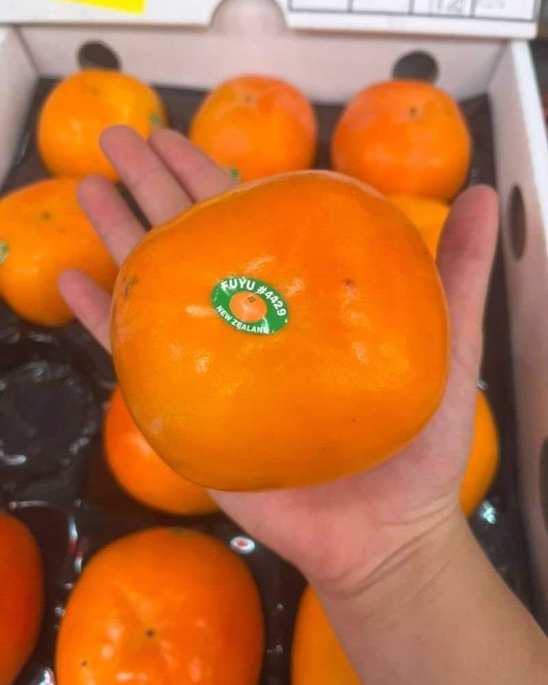 [Alive Fruits] #พลับนิวซีแลนด์ #พลับFuyu สด หวาน กรอบ อร่อย ไซส์ใหญ่ ...