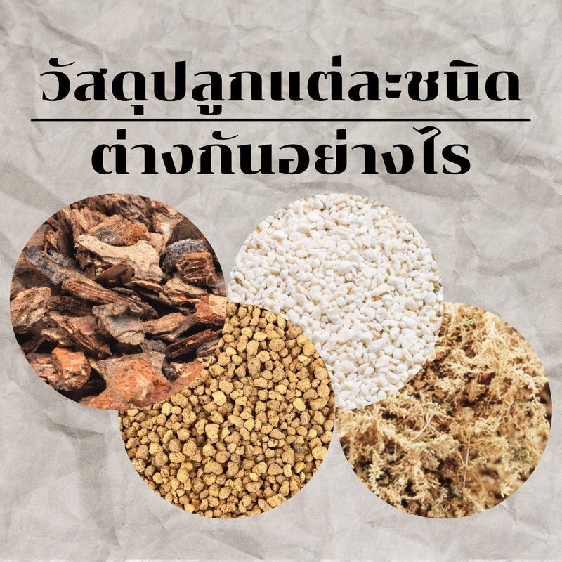 [สวนสุดเศร้ากับนายตะวัน Tree Lover Tawan ] ว่าด้วยเรื่องของวัสดุปลูก ...