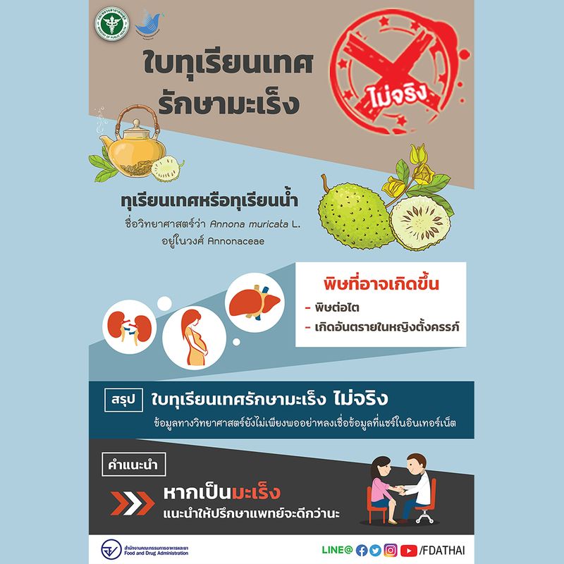 [fdathai] จากกระแสในโลกสังคมออนไลน์ ที่บอกกันว่าใบทุเรียนเทศสามารถรักษาโรคมะเร็งได้นั้น แอดบอก ...