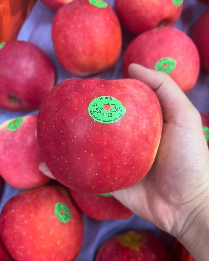 [Alive Fruits] 🍎Apple Rose🍎 นำเข้าจากนิวซีแลนด์ สีชมพู-แดงเหมือนดอก ...