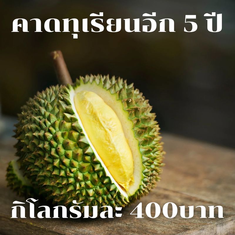 [สวนสุดเศร้ากับนายตะวัน Tree Lover Tawan ] คาดทุเรียนอีก 5 ปีจะกิโลกรัม ...