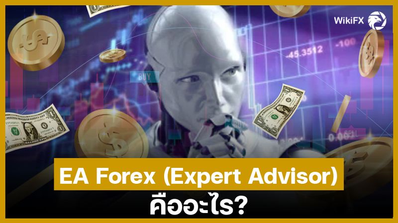 [WikiFX.TH] EA Forex (Expert Advisor) คืออะไร? https://www.wikifx.com/th/newsdetail ...