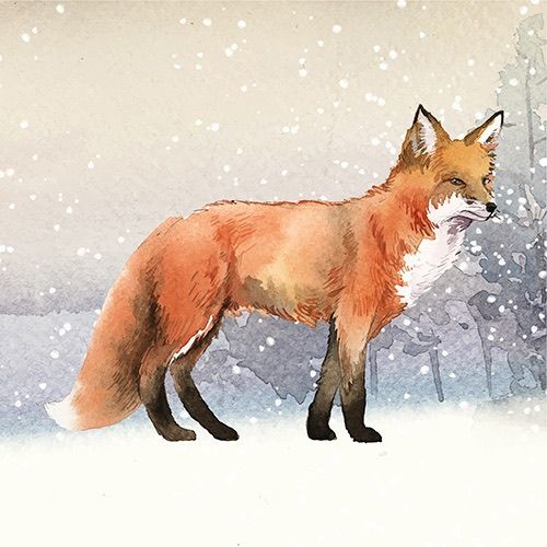 [Tomatoes fruit or vegetable ] Blockdit 2 : เล่านิทานให้เด็กงง ความคิดเห็นส่วนตัวจากเรื่องนี้มอง ...