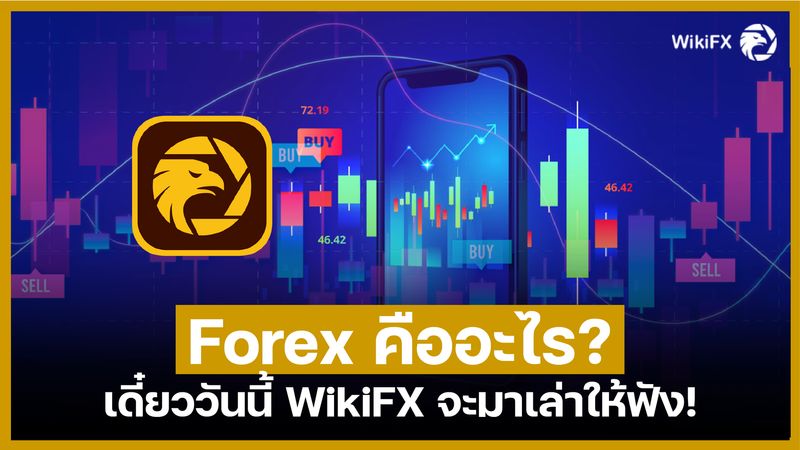[WikiFX.TH] Forex คืออะไร？เดี๋ยววันนี้ WikiFX จะมาเล่าให้ฟัง! https://www.wikifx.com/th ...