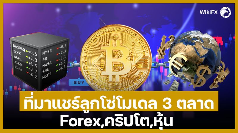 [WikiFX.TH] ที่มาแชร์ลูกโซ่โมเดล 3 ตลาด Forex,คริปโต,หุ้น https://www.wikifx.com/th/newsdetail ...