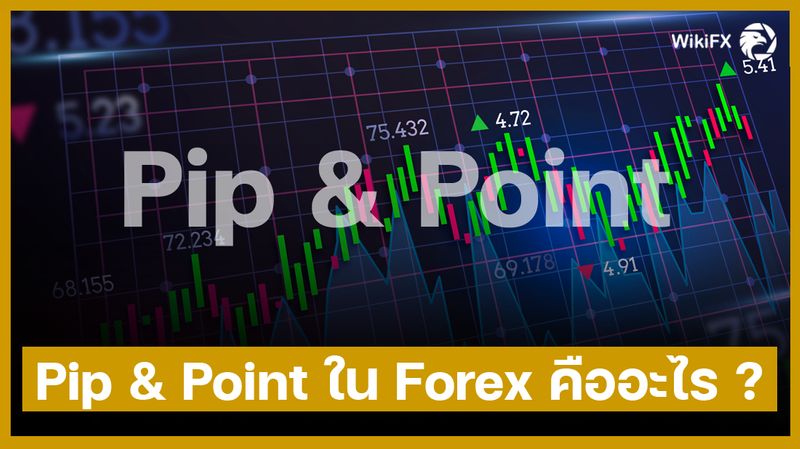 [WikiFX.TH] Pip & Point ใน Forex คืออะไร ? https://www.wikifx.com/th/newsdetail ...