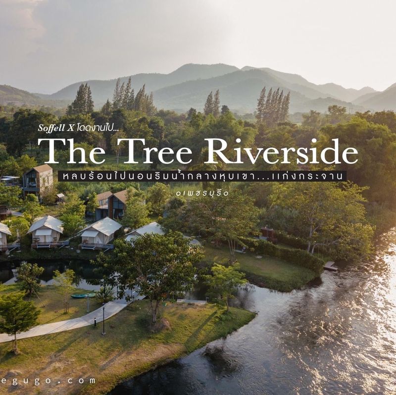 [โดดงานไป] The Tree Riverside แก่งกระจาน #หลบร้อนไปนอนเต็นท์ริมน้ำเปิด ...