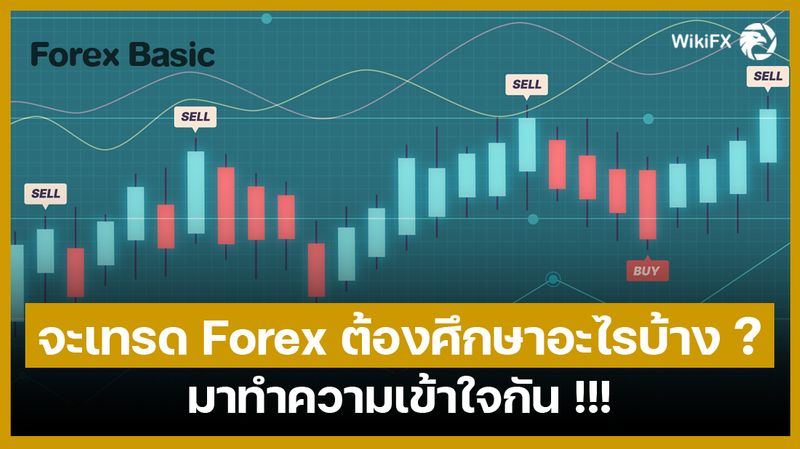 [WikiFX.TH] จะเทรด Forex ต้องศึกษาอะไรบ้าง มาทำความเข้าใจกัน !!! https://www.wikifx.com/th ...