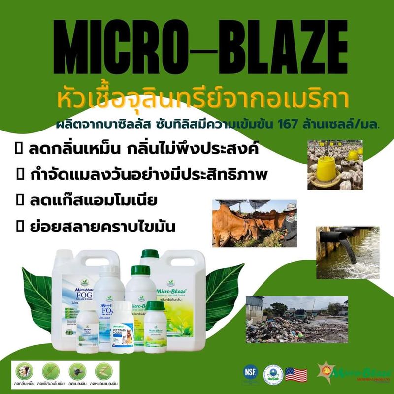 [Micro-Blaze จุลินทรีย์ดับกลิ่นเหม็นและกำจัดแมลงวัน] 📣Micro-Blaze ...