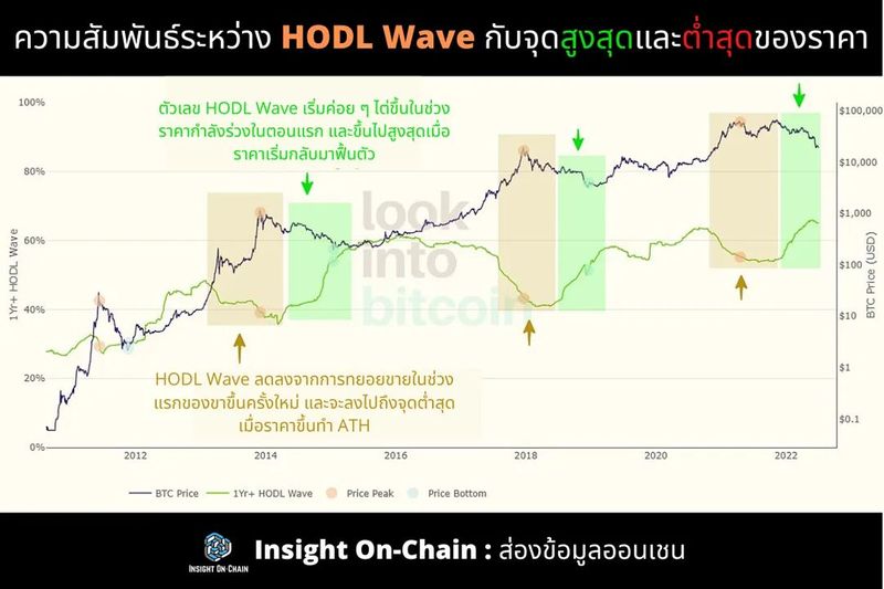 [Insight On-Chain : ส่องข้อมูลออนเชน] 📢 ความสัมพันธ์ระหว่าง HODL Wave กับจุดสูงสุดและต่ำสุดของ ...