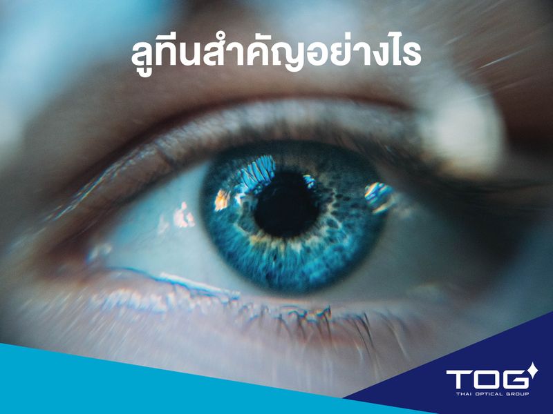 [Thai Optical Group] ลูทีนสำคัญอย่างไร ? ลูทีนมีประโยชน์ต่อสุขภาพดวงตา ...