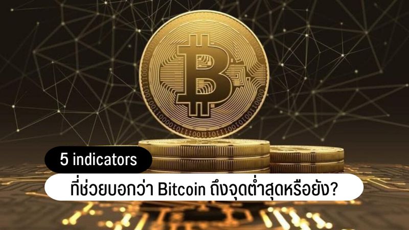 [Crypto Wolves] 5 indicators 👉🏻 ที่ช่วยบอกว่า Bitcoin ถึงจุดต่ำสุดหรือยัง? 📍1. Bitcoin Dormancy ...