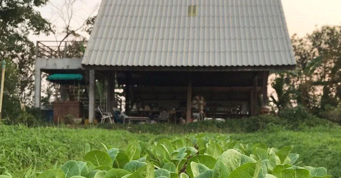 [เรื่องบ้านบ้าน] Farm Behind the Barn ไร่ของเราอยู่ที่หลังฉาง