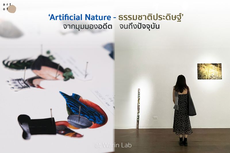 [Art of] นิทรรศการ ‘Artificial Nature - ธรรมชาติประดิษฐ์’ จากมุมมองอดีตในประวัติศาสตร์ไปจนถึง ...