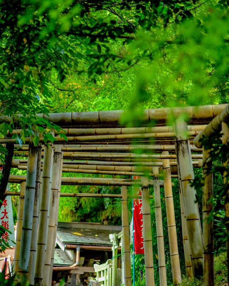 [rugo go to anywhere ] #KYOTO green .. ส า ย เ ขี ย ว