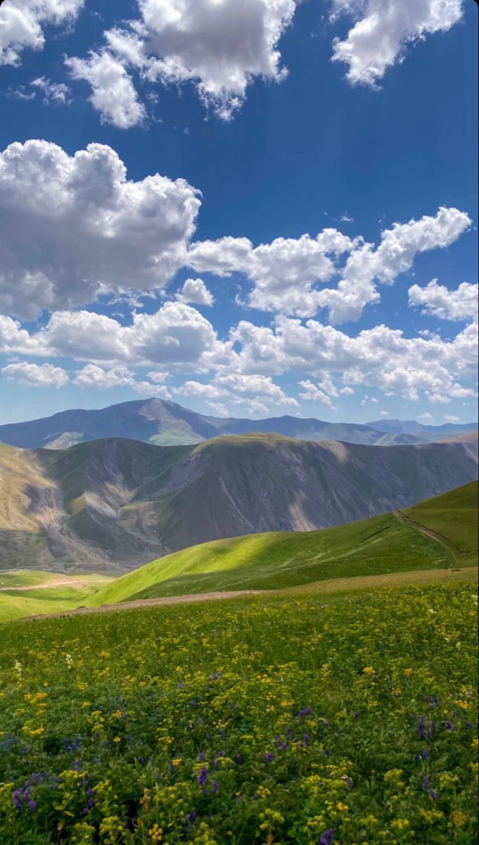 [Happy area] blog 35 (24/7/65) ใช้เวลา 3 นาที