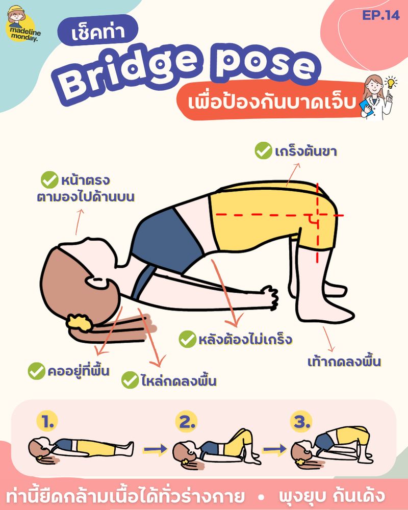 [madeline monday] Bridge Pose ช่วยยืดกล้ามเนื้อได้เกือบทุกส่วนของ ...