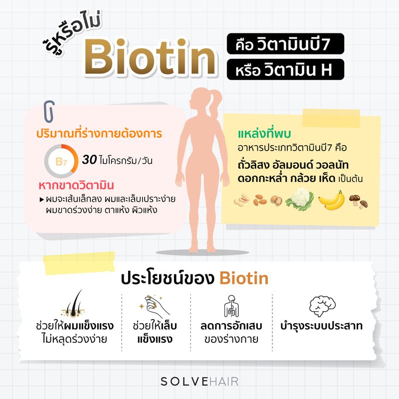 [Solvegroup] ไบโอติน (Biotin) หรือวิตามิน B7 หรือที่รู้จักกันในชื่อวิตามินเอช (Vitamin H) ช่วยใน ...